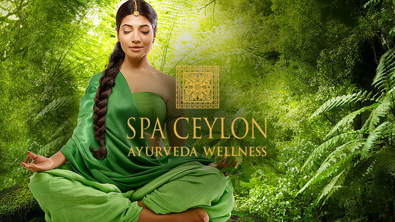 Bylinné čaje - Spa Ceylon